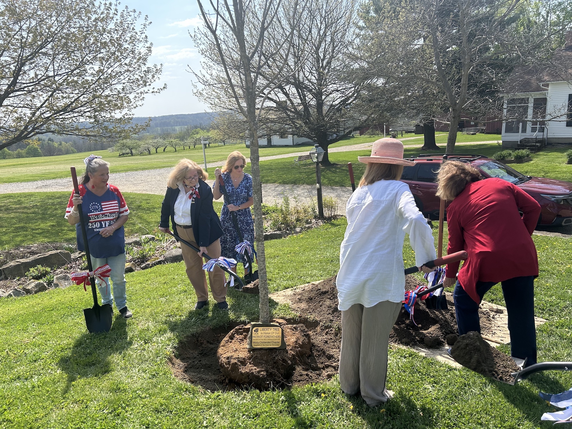 Daughters of the American Revolution plant Liberty Tree | Weekly Villager
