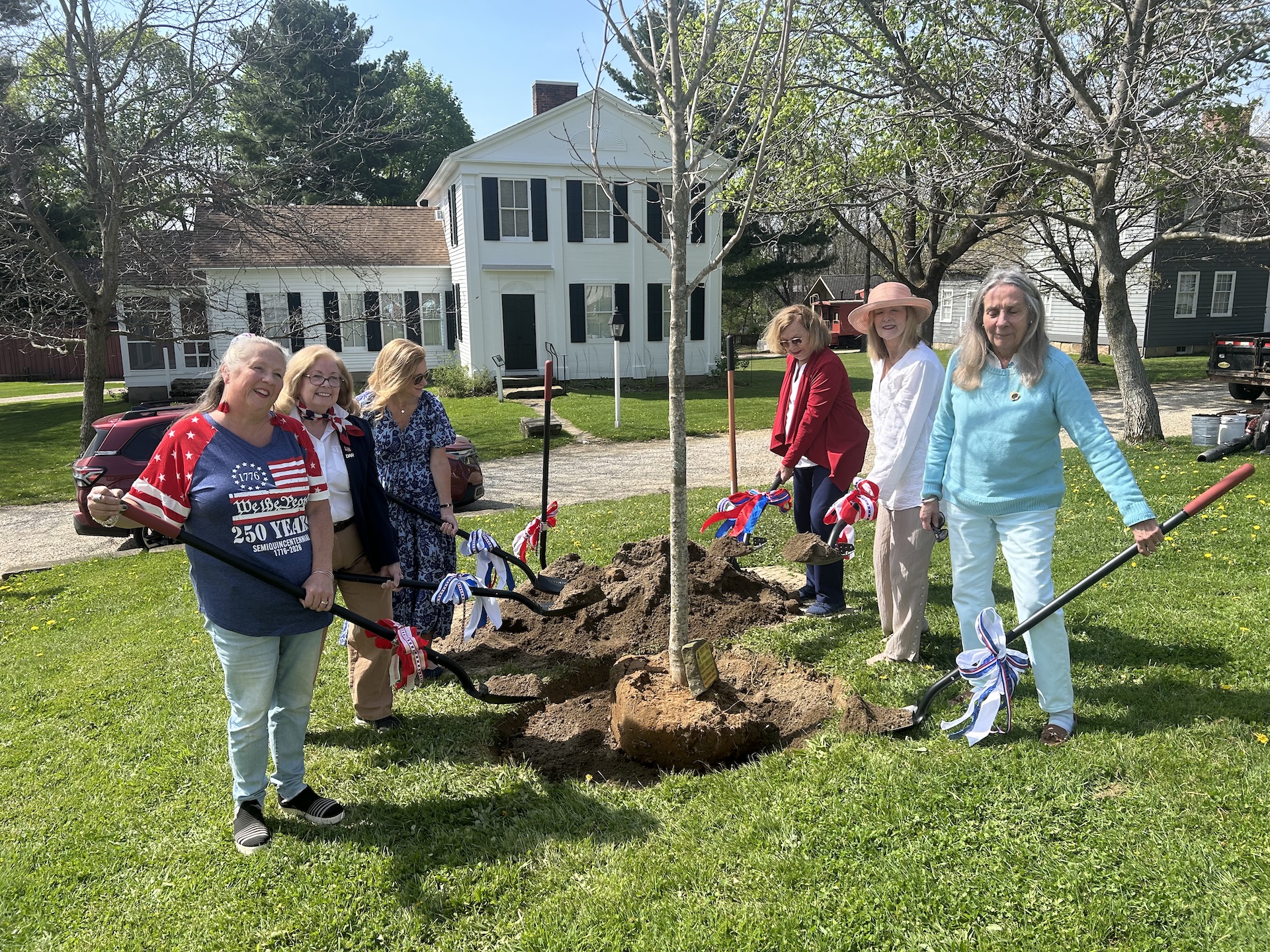 Daughters of the American Revolution plant Liberty Tree | Weekly Villager